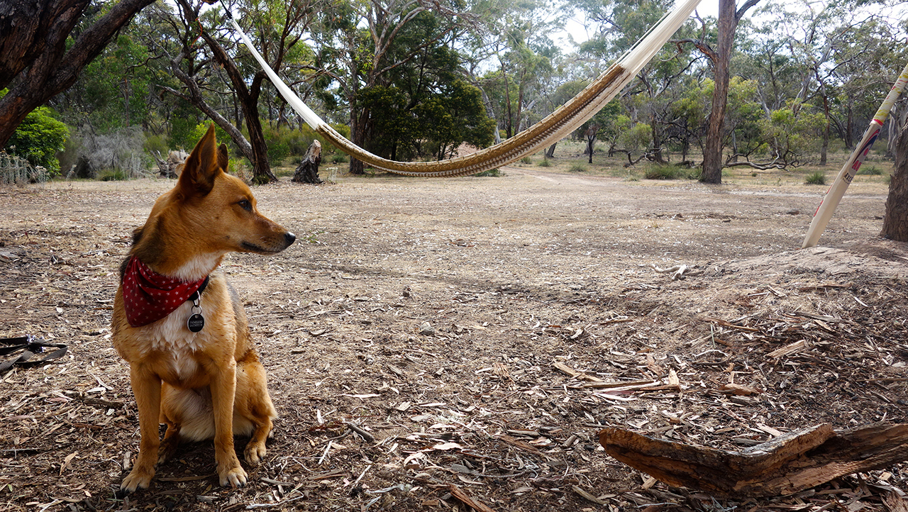 camping hammock glamping couturing the unimpossibles the grampians ...