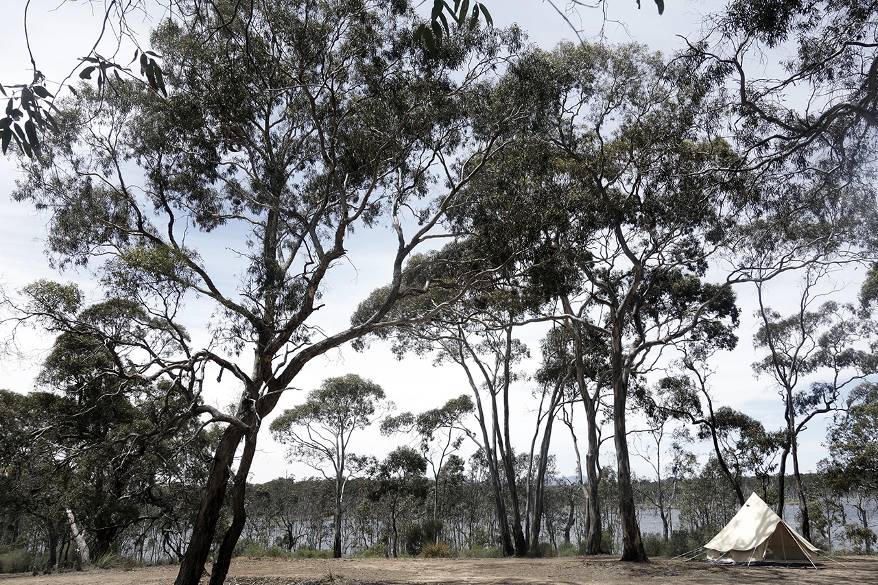 homecamp flinders bell tent glamping glampians camping the ...