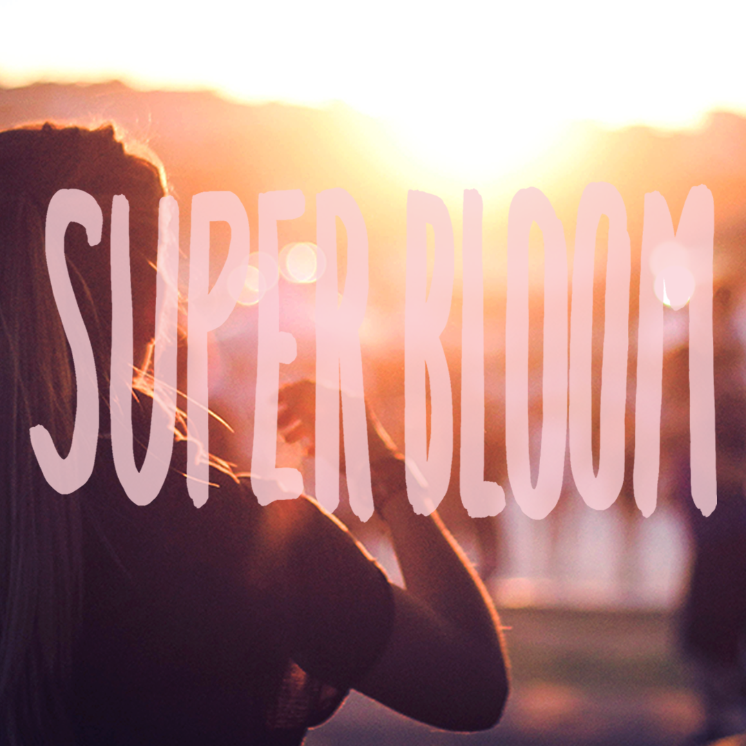 SB18-Social-SuperBloom - Couturing.com